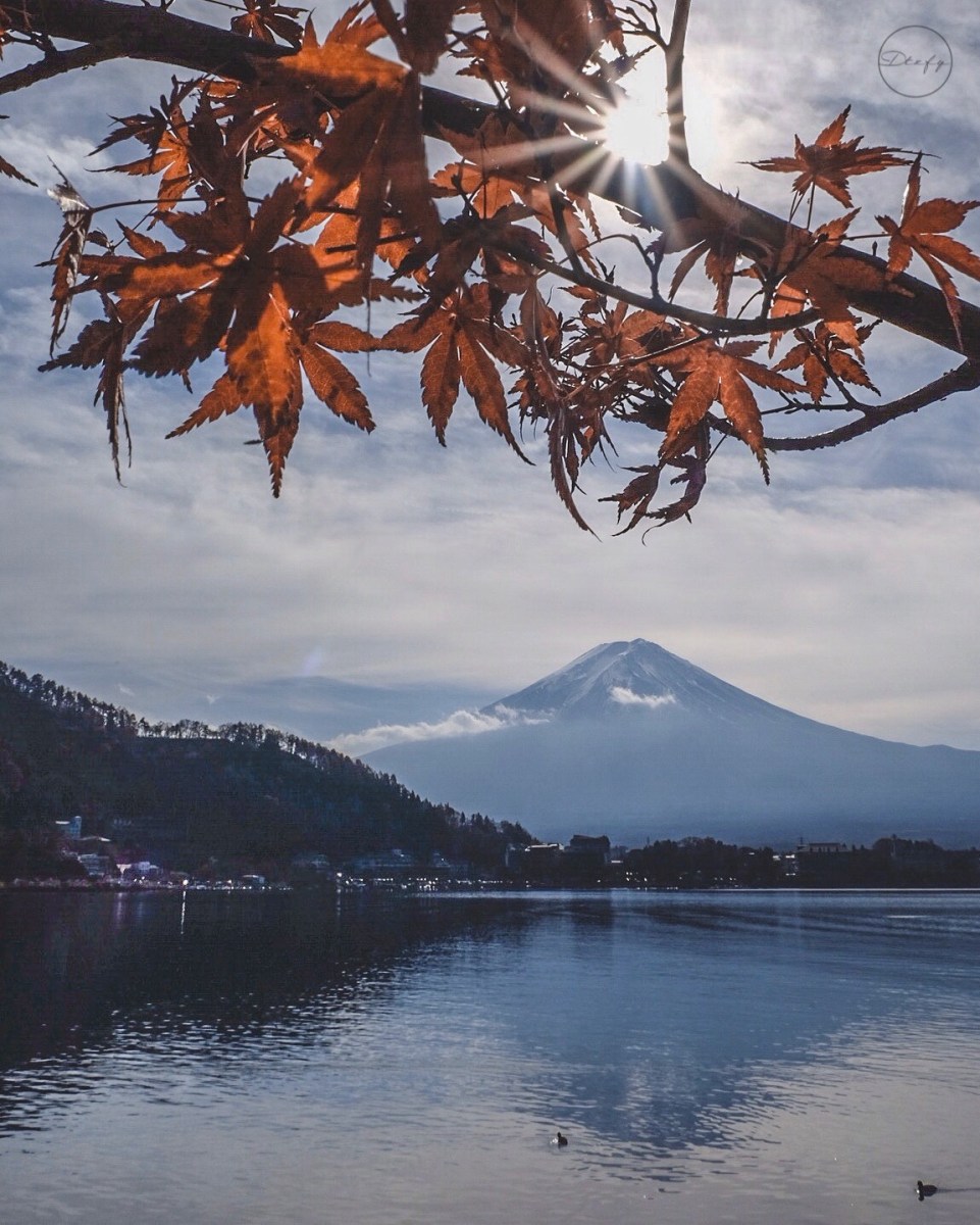 A Day Trip to Yamanashi Prefecture – DEE EXPLORES